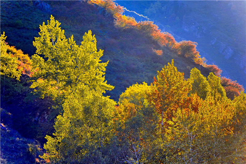 The Tianshan Mountains in Xinjiang enters autumn, colorful - iNEWS