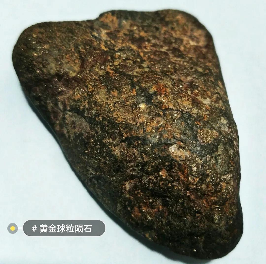 Rare in the world~Golden chondrite directional meteorites to enjoy ...