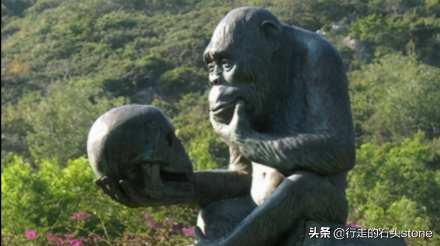 The Poetry Dictionary: Lao Ji Fu Ting-What kind of life should I pursue ...