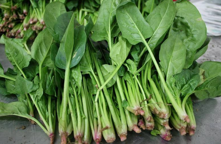 When buying spinach, pay attention to distinguishing "sharp leaves" and ...