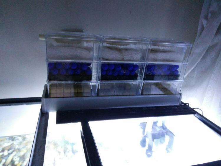 The sound of excessive water flow and bubbles in the fish tank can be ...