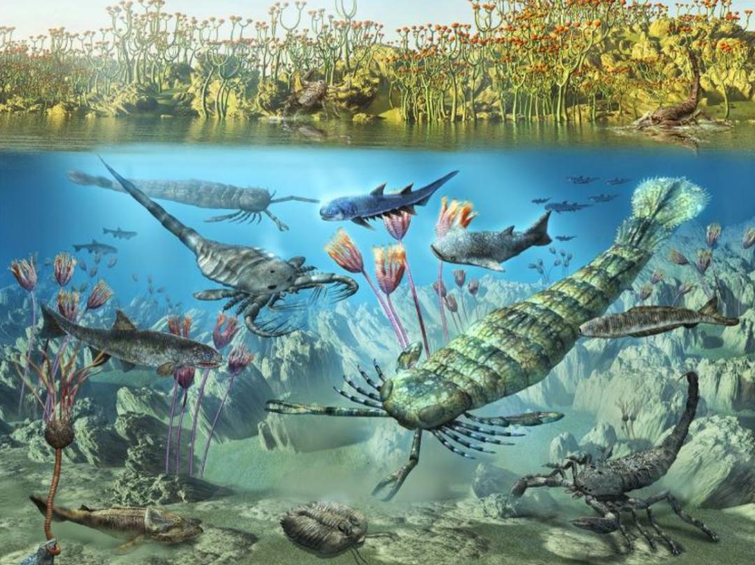 Scientist: All signs have shown that the earth may be entering the ...