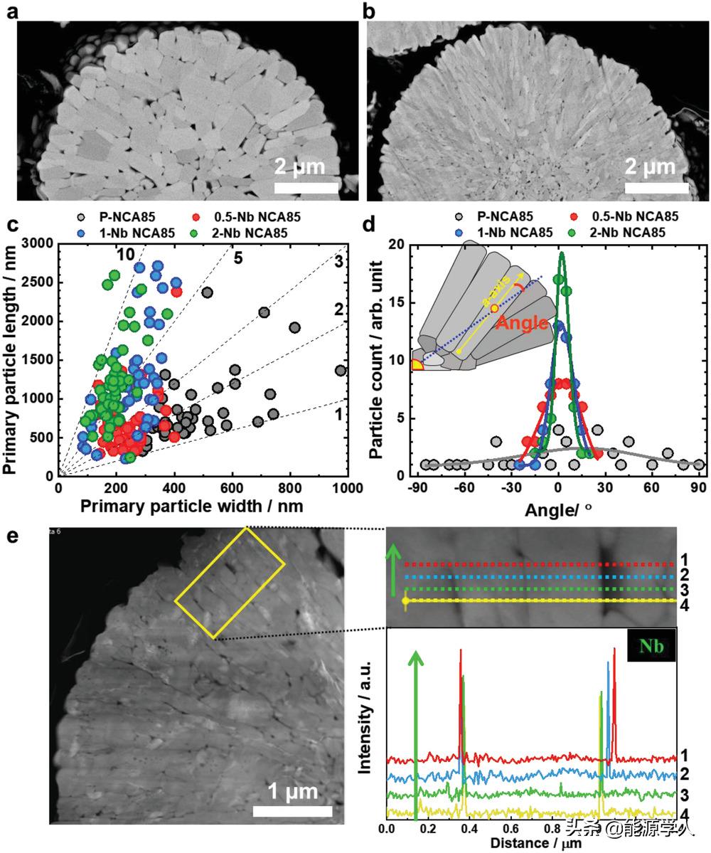 AEM: Nb doping regulates nickel-rich layered cathode microstructure - iNEWS