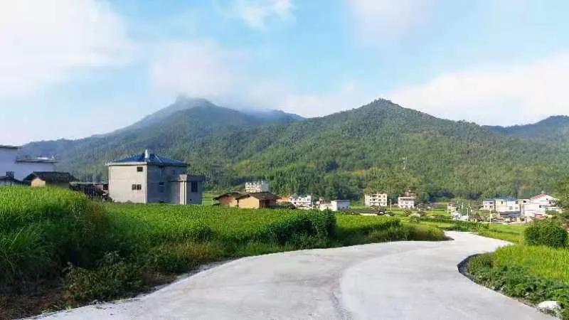 Excavate and protect, inherit and carry forward the culture of Suichang ...