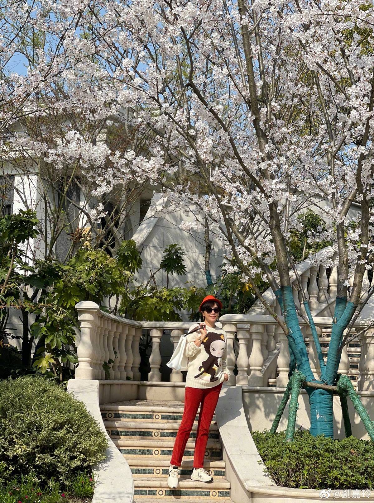 Liu Jialing Xiu Chang legs, the same bag has been sold to the goods! I ...