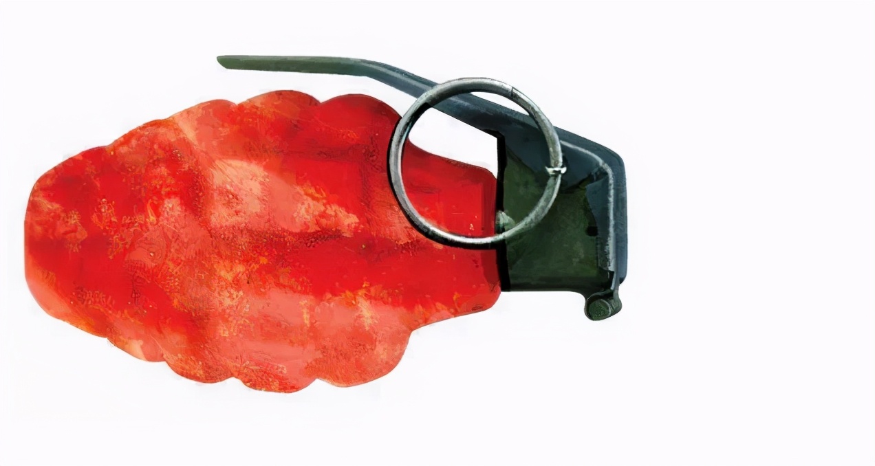 India invented the "magic" grenade, which can be eaten or fried, and ...