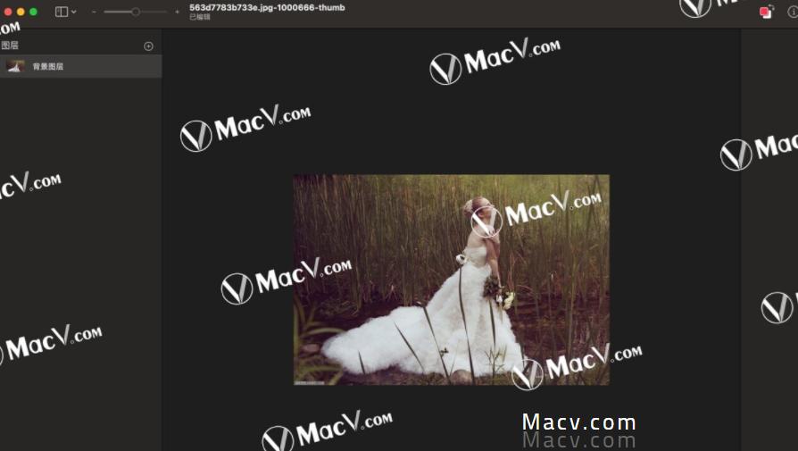 Pixelmator Pro for Mac(媲美PS的修圖軟件) - 資訊咖