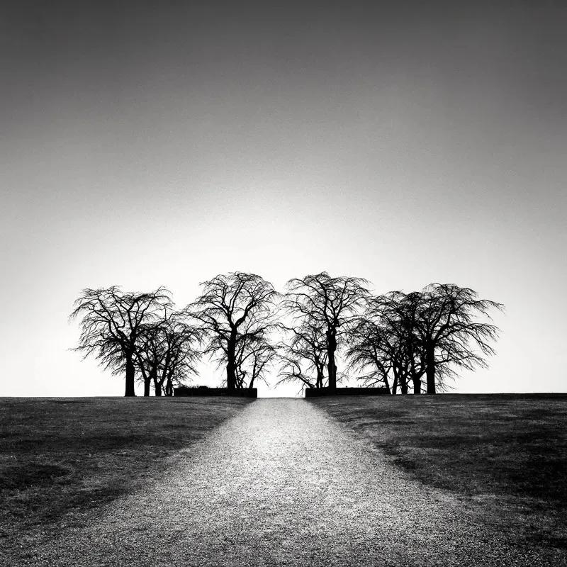 Elegant scenery - iNEWS