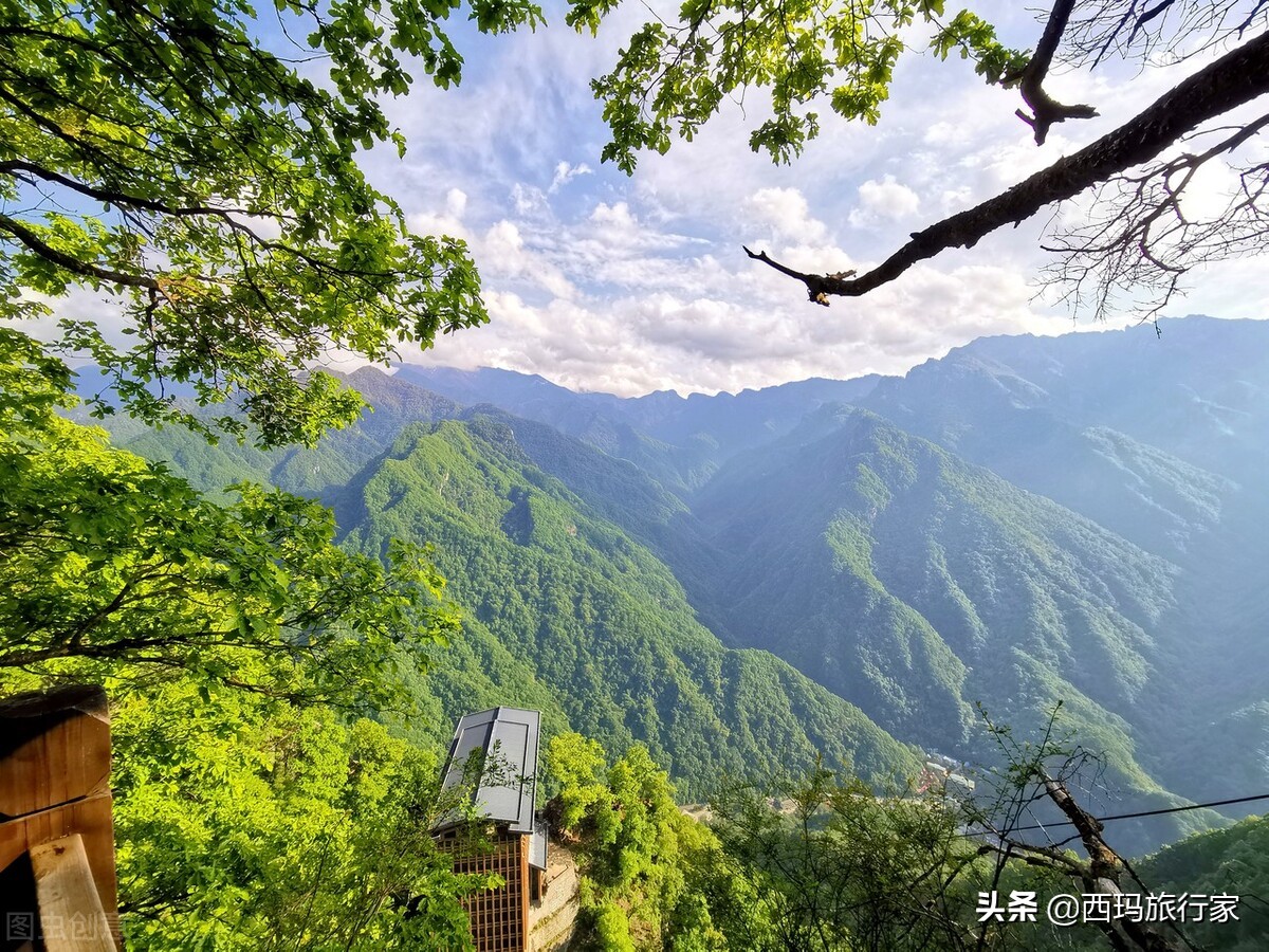 "The Wizard of Oz" in the Qinling Mountains, explore the "Tygu" of the ...