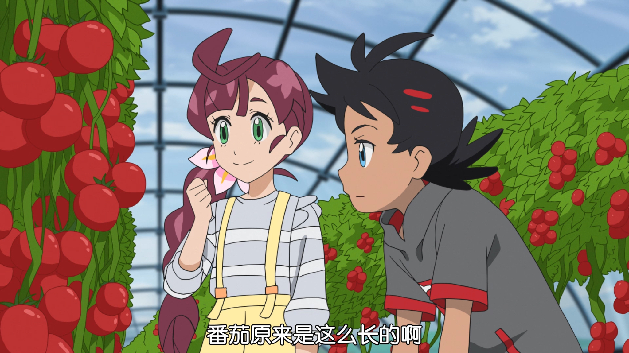 The bottom line of the plot drops again, Xiaohao transfers Pokémon to ...