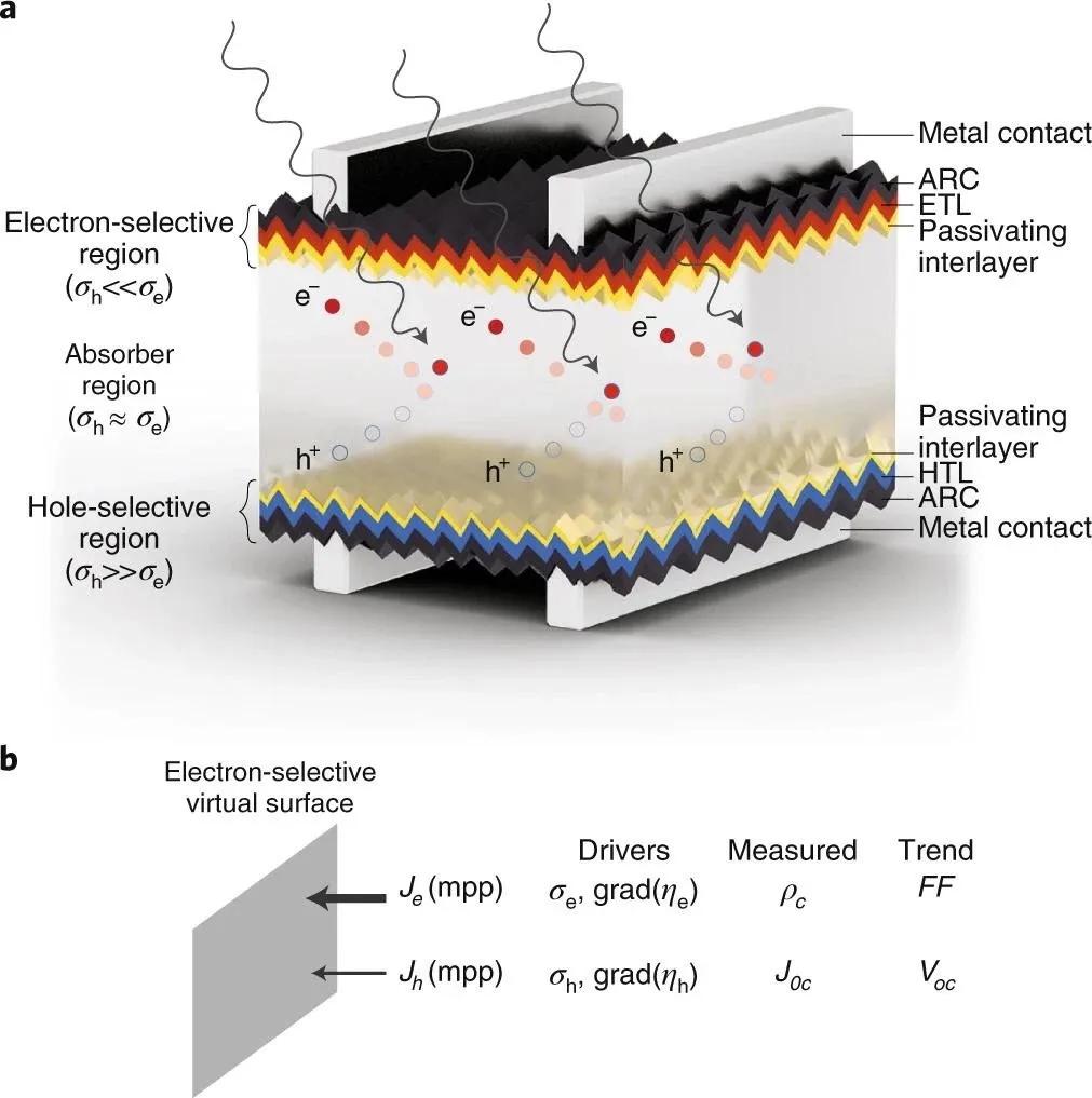 Passivation contact strategy for crystalline silicon solar cells - iNEWS