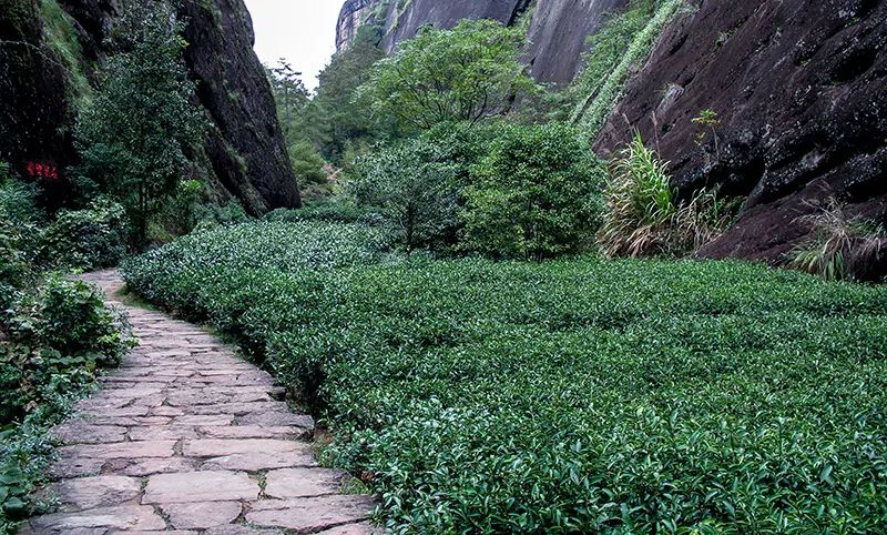 "Fengyin Pavilion" is just to meet you - iNEWS