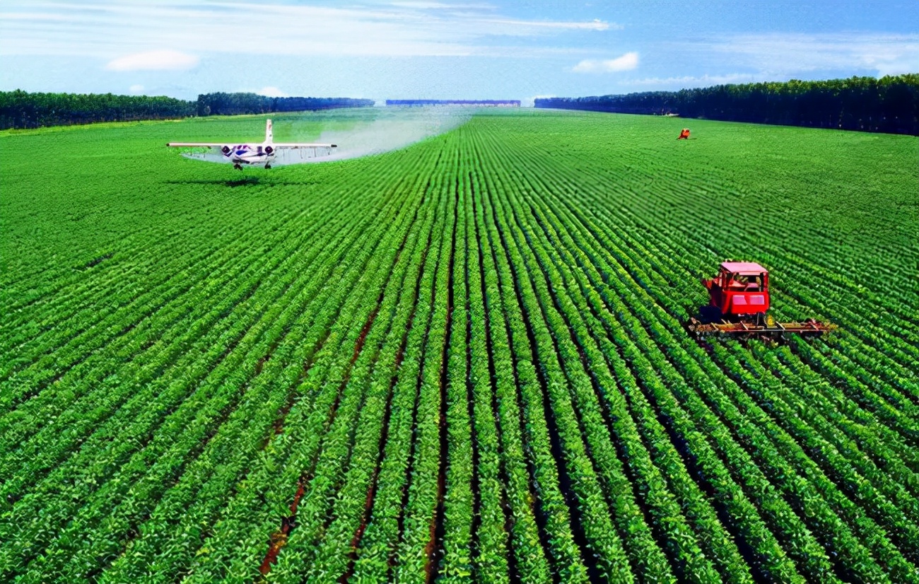 The ranking of countries with the highest food self-sufficiency rate in ...