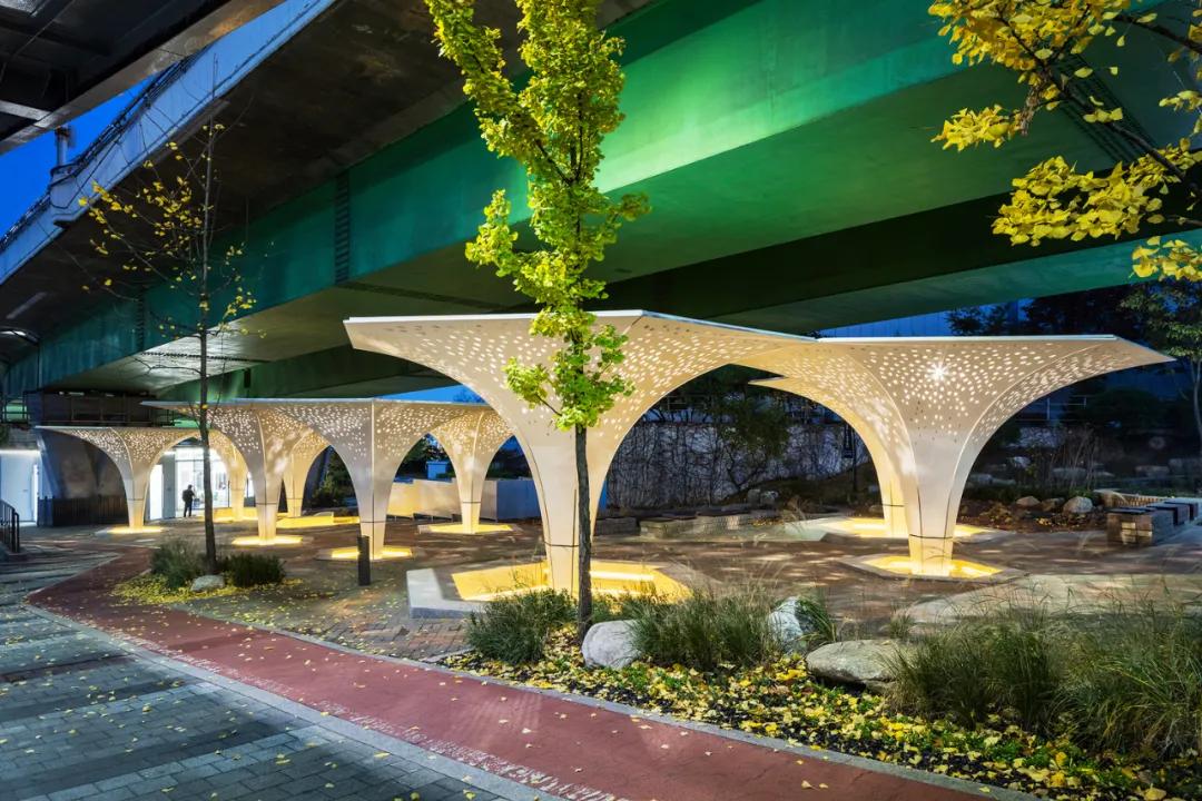 Activate the space under the bridge, doesn't it smell good? - iNEWS