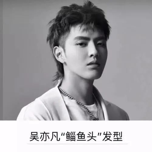 Quan Zhilong and his little daisy - iNEWS