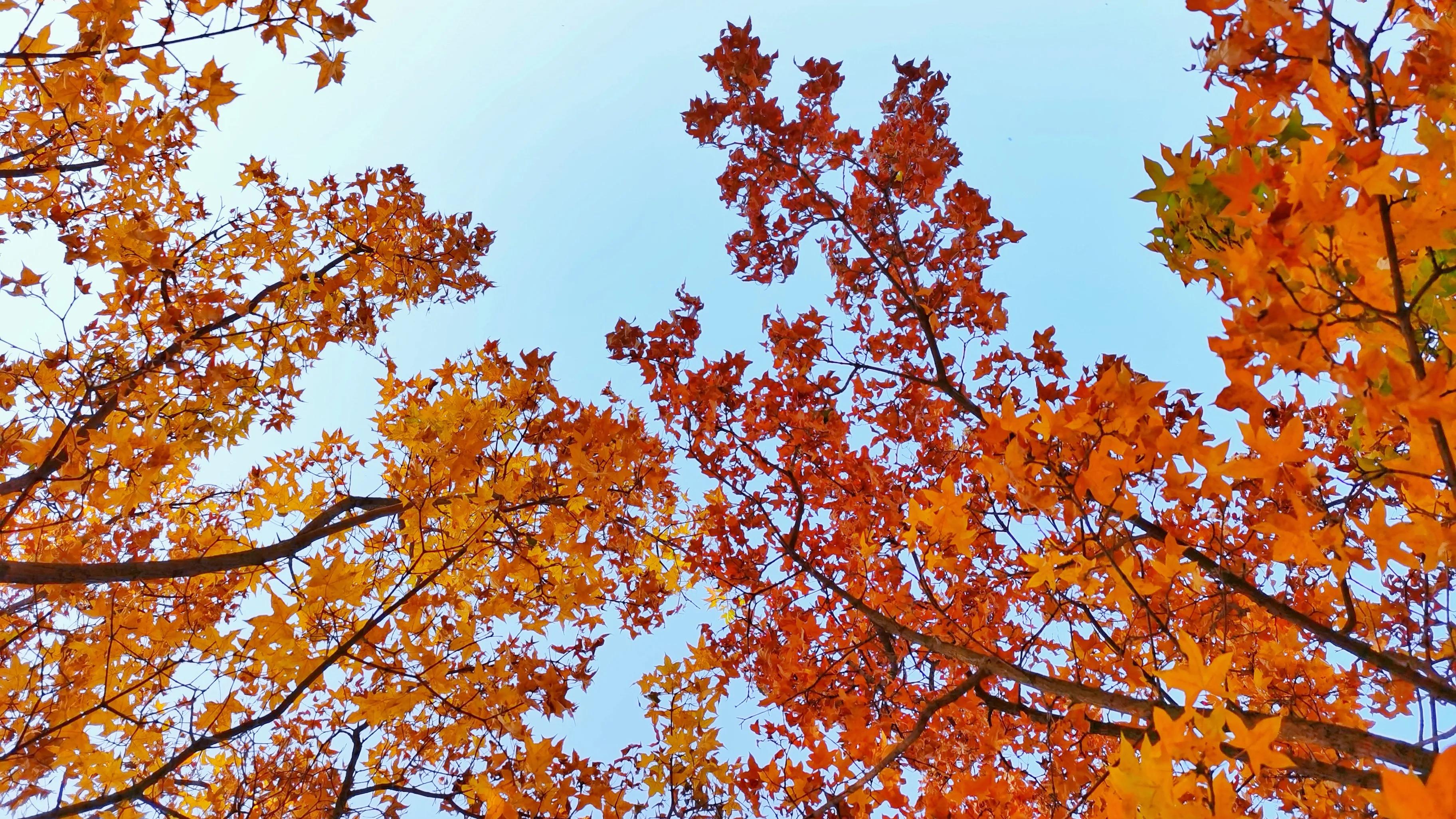 Several common frame ratios and characteristics in photography - iNEWS