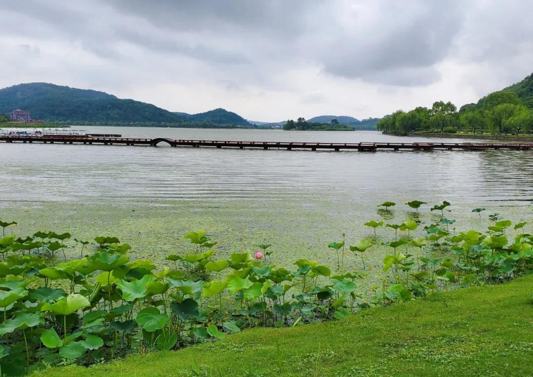 Talking about Haiyan-a beautiful town full of water and mountains - iNEWS