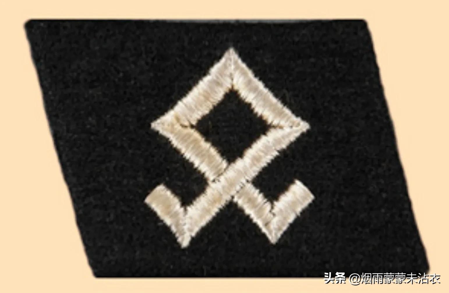 The pattern of the collar badges of the German SS divisions of World ...