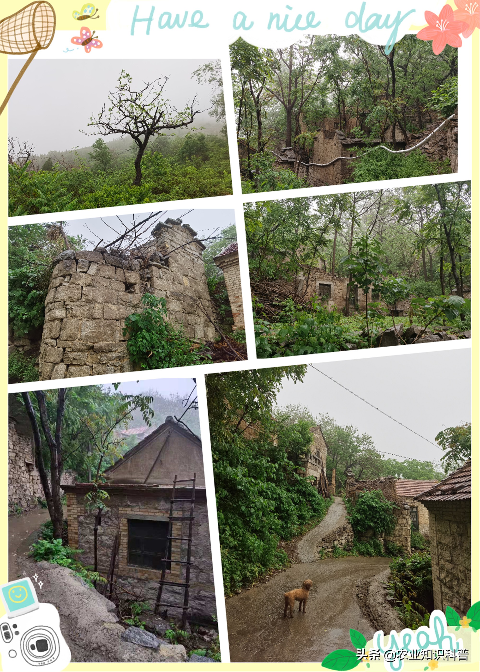 Chinese Village: Beishansi Village in the deep mountains of Zibo ...