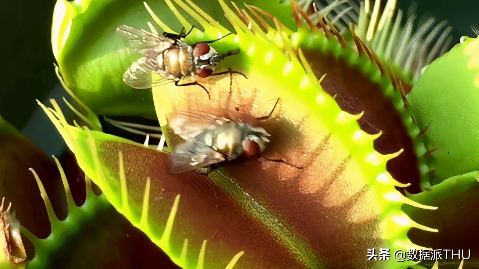Let plants "open their mouths to speak"!Singapore's "plant robot" can ...