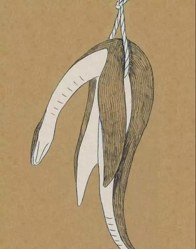 Japanese fishing boats once salvaged the carcass of a sea monster ...