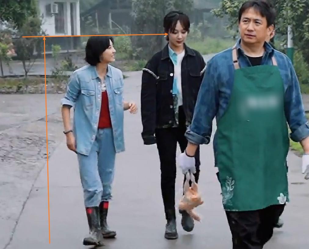 Yang Zi and Zhang Zifeng walked up in the same frame, and the camera ...