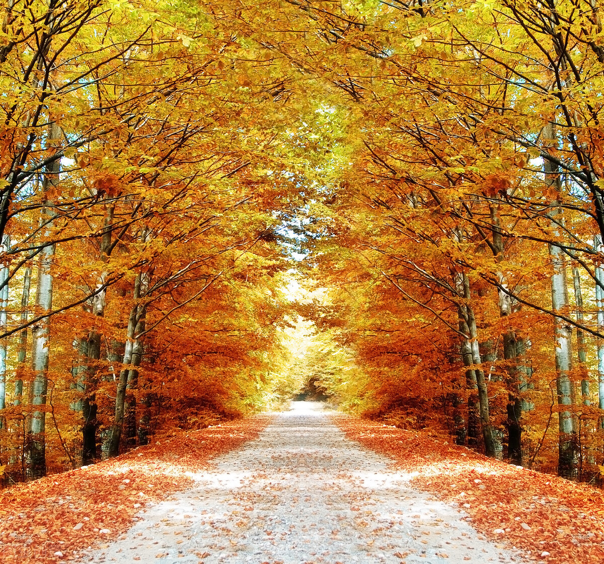 What should I do if I have a bad stomach in autumn?A few small coups ...