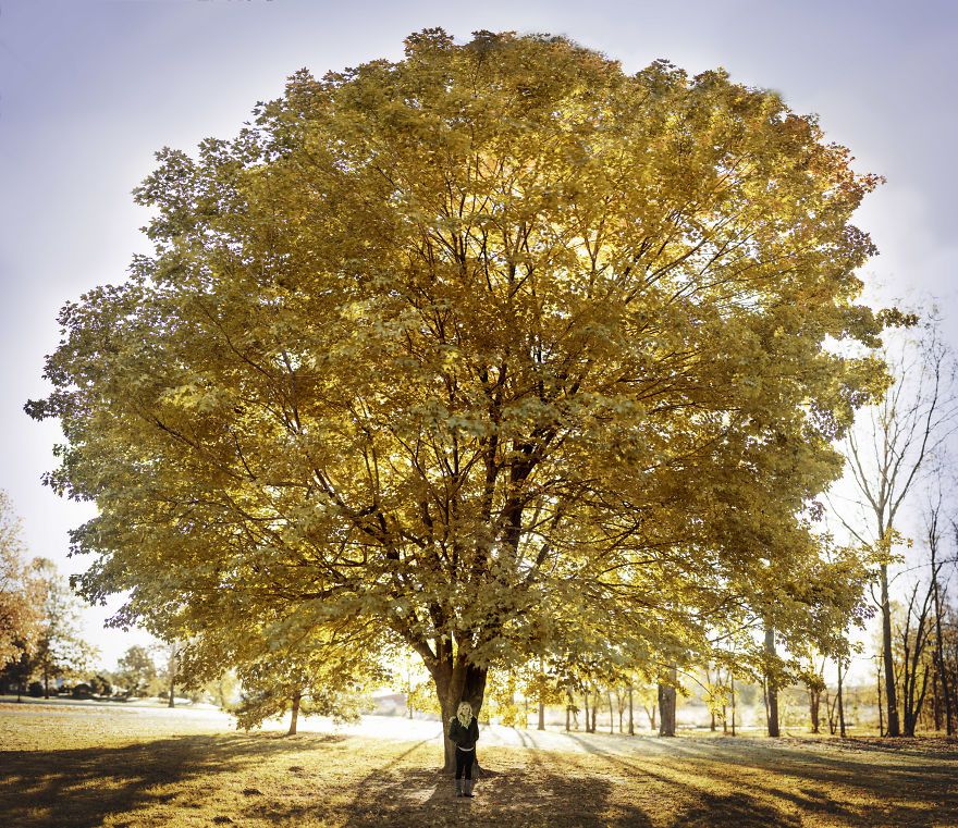 What do you mean by "There are eight trees in front of the house, you ...