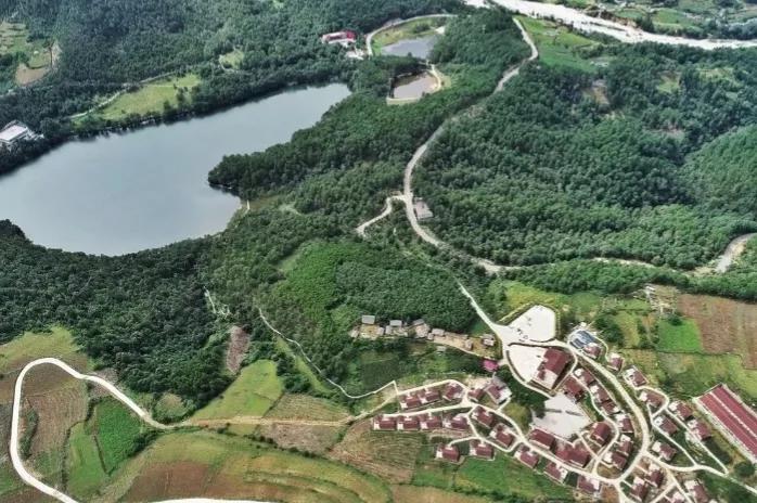 Liu Bocheng and Xiaoyedan "Yihai Alliance" - iNEWS