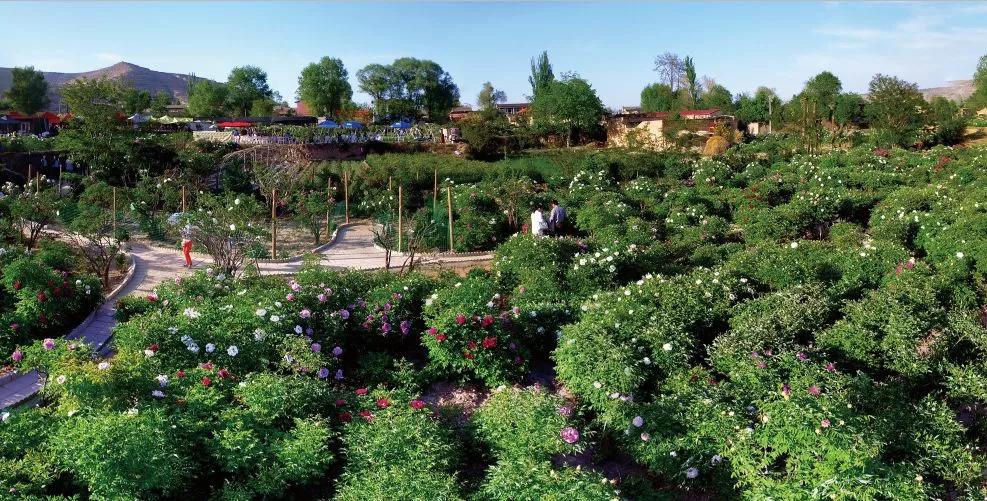 How beautiful is this beautiful village hidden in Dingxi - iNEWS