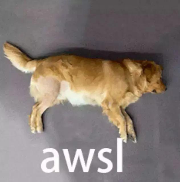 「絕絕子」「yyds」「emo了」？這些互聯網「黑話」我受夠了 - 資訊咖