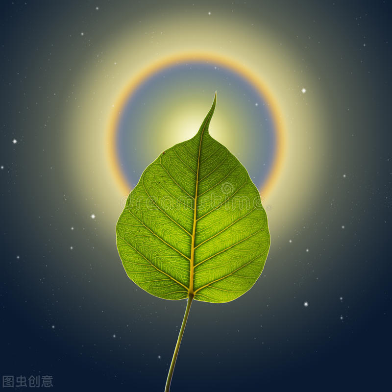 The Way of Self-Healing of Depression (Traditional Chinese Medicine ...