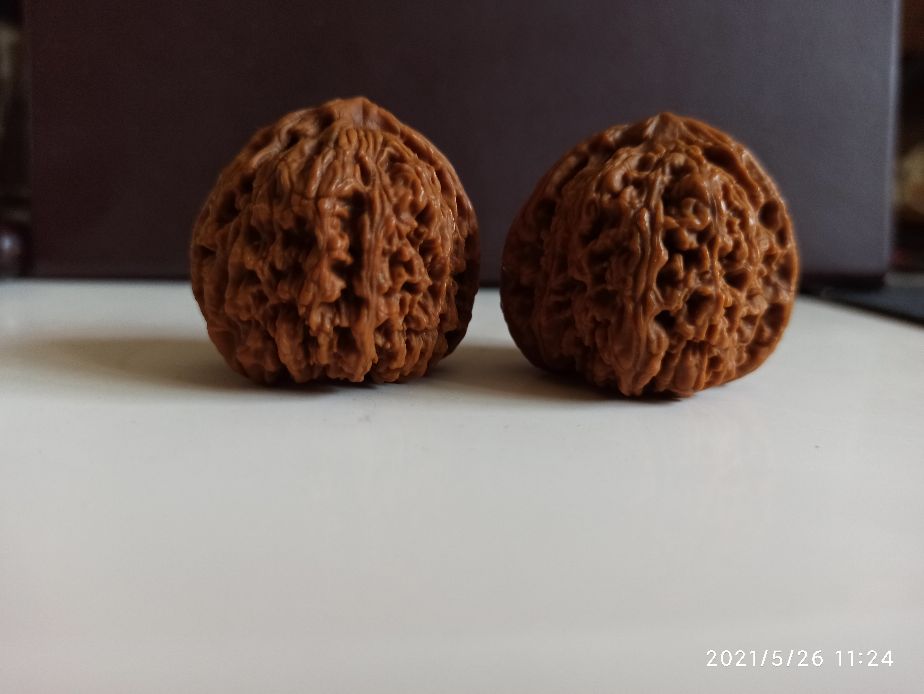 Wenwan Walnut, Southern Xinjiang Stone Lion Head - iNEWS