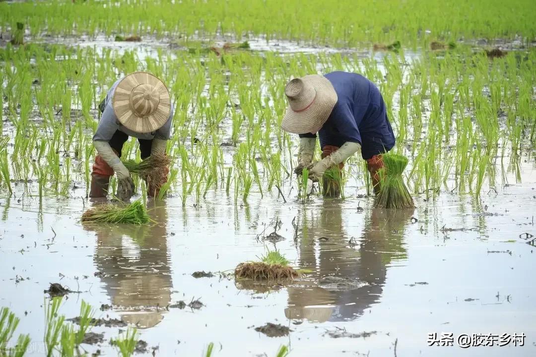 What does it mean to "be afraid of March 7th in March, afraid of the ...