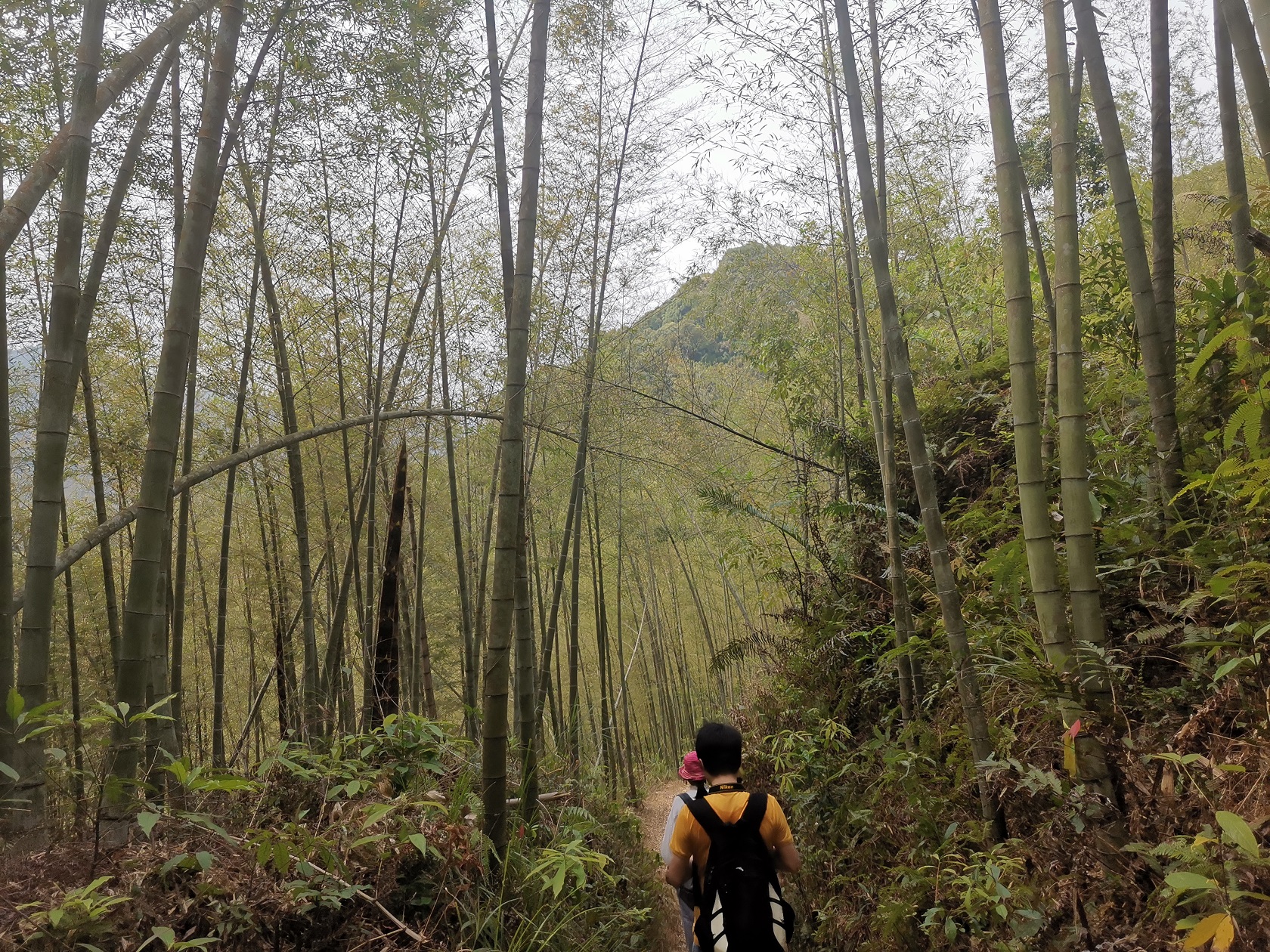 Conghua Xingxi line in-depth planning strategy on foot, large groups ...