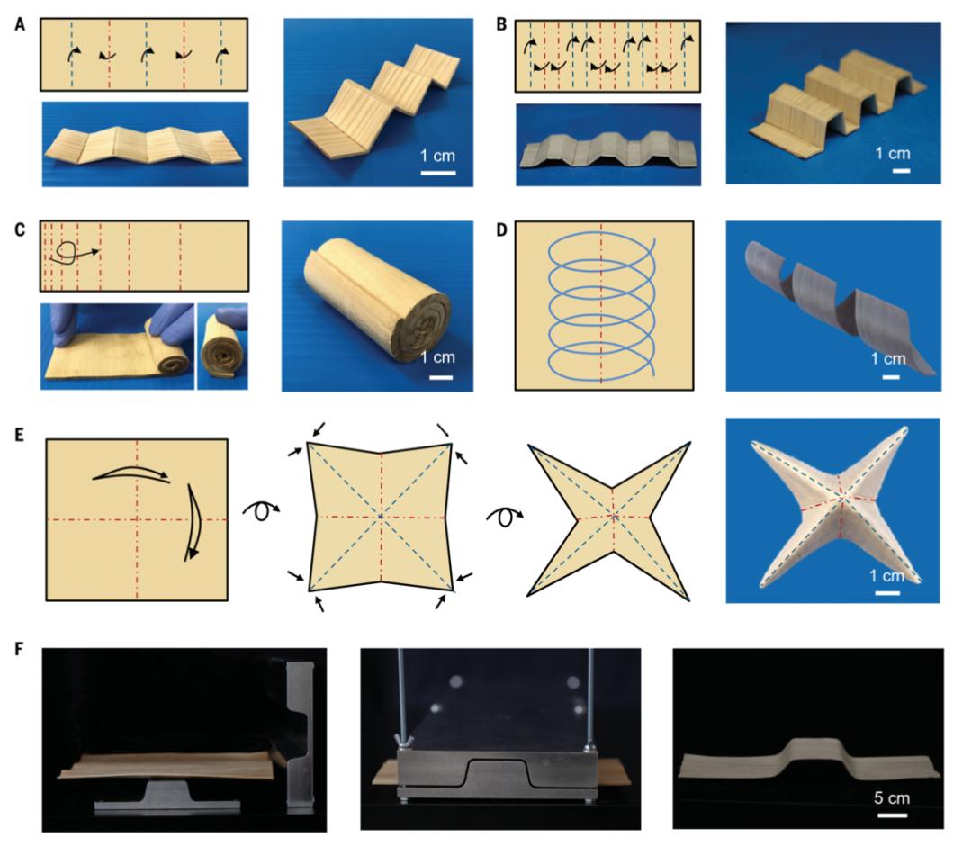 The cover of Science, again is "Wood King" Hu Liangbing and his super ...