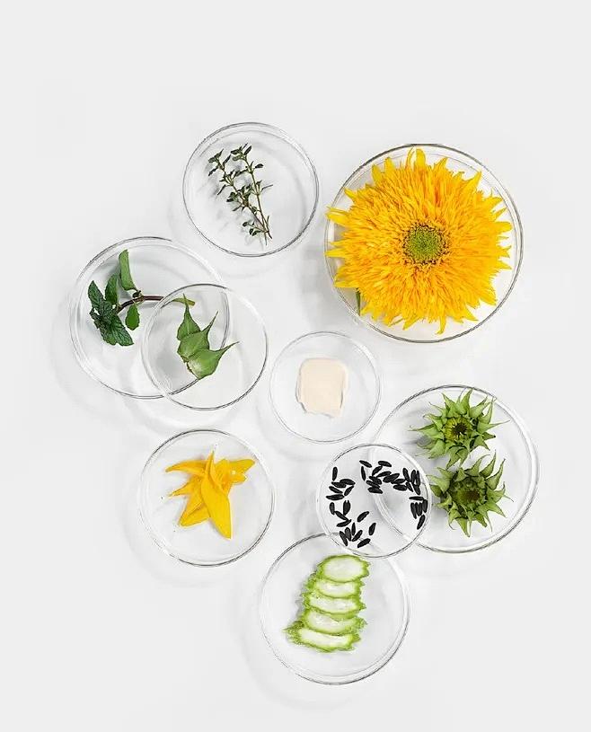 The list of seven high-quality skin care ingredients in 2021 - iMedia