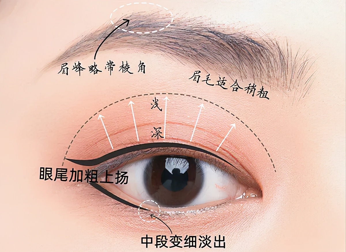 "Beauty and skin care" hardcore eye makeup anatomy, after you learn it ...