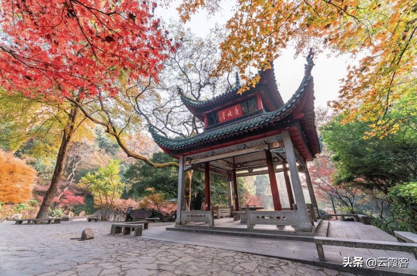 The hometown of Qu Jia, the media capital, walks to Changsha, the 118th ...