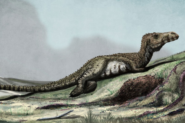 The largest carnivorous dinosaur in Europe-Barbarosaurus - iMedia