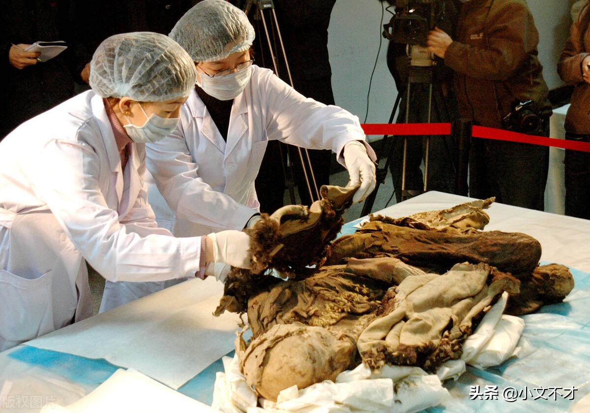 What will happen to the corpse in the grave bag?This is a battle ...