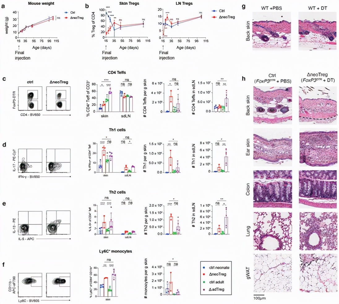 Nature: Newly discovered skin cells may cause inflammatory skin ...