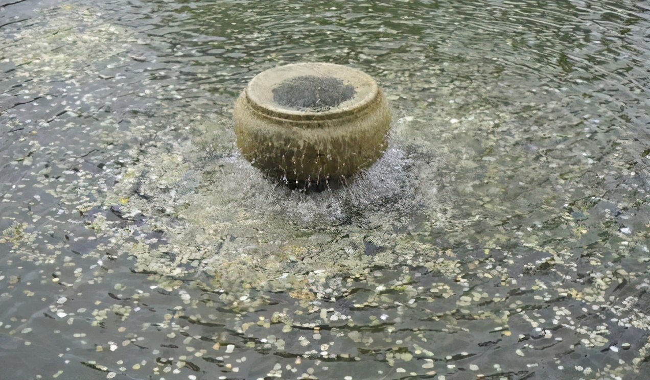 Where did all the money from the wishing pool in the scenic spot go ...