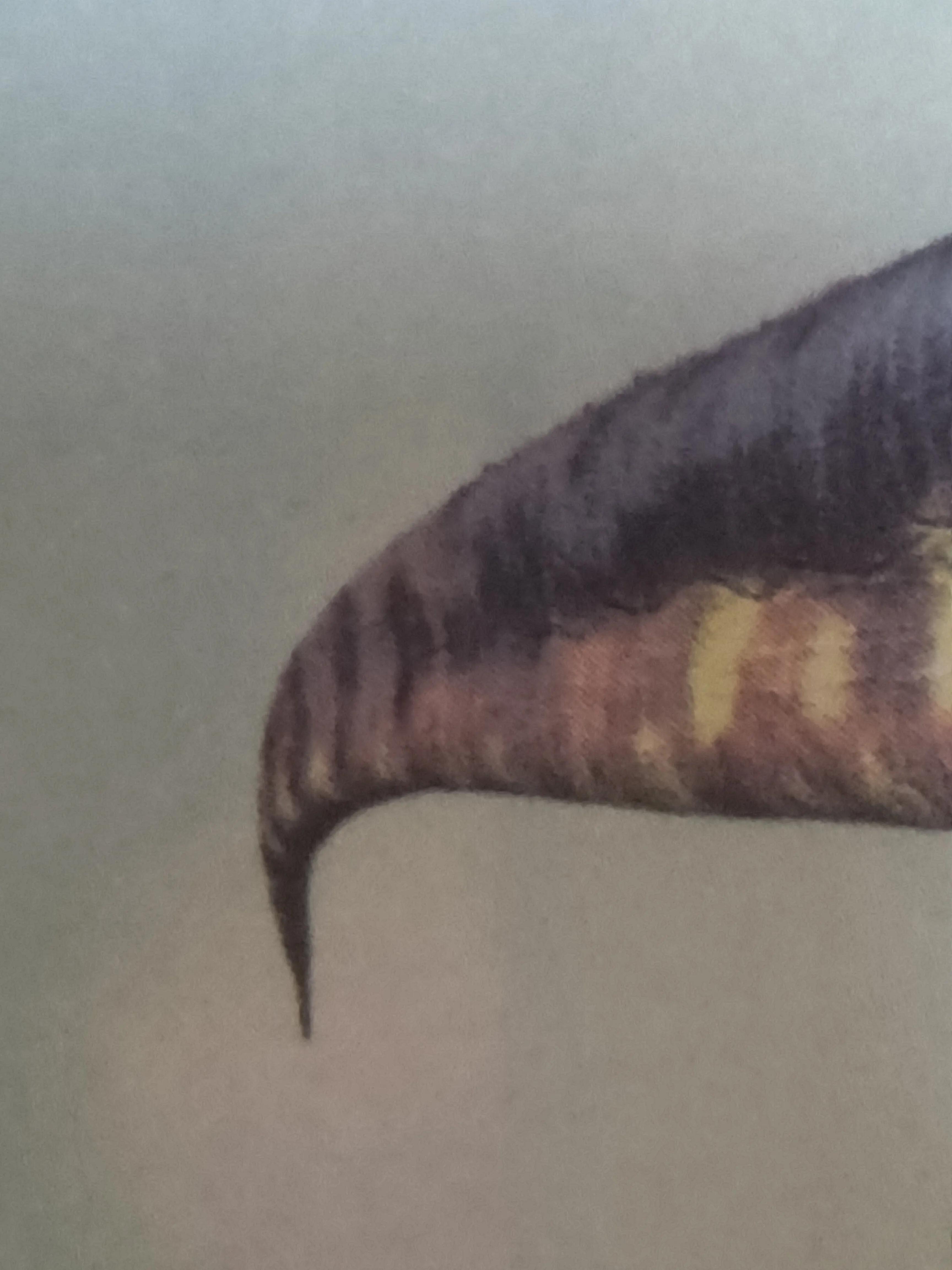 During the Mesozoic Era, Panosaurus, one of the sauropod dinosaurs that ...