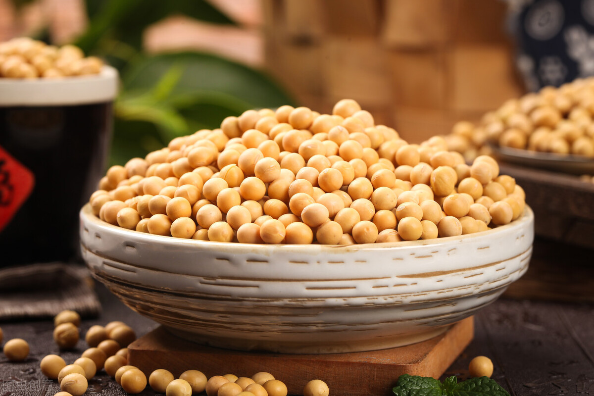 Guan Guan Food Ji's Secret Soy Sauce - iMedia