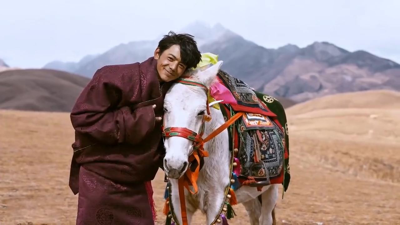 What did Ding Zhen do during his first year of popularity?Half a year ...