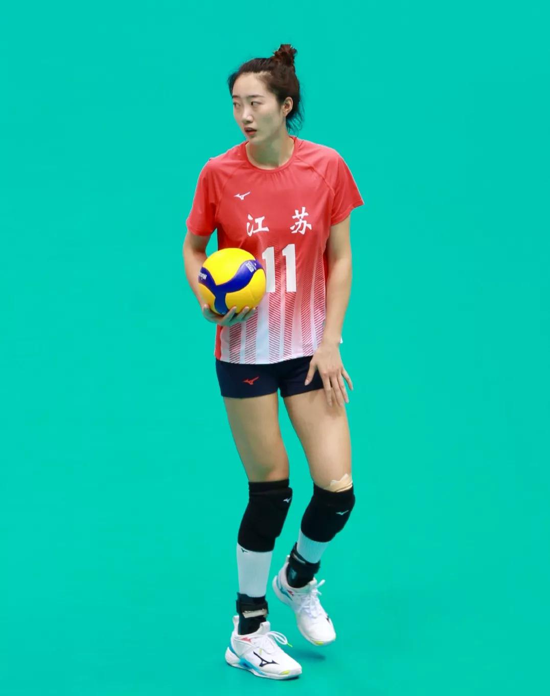 Who are the veterans of the women's volleyball teams who have retired ...