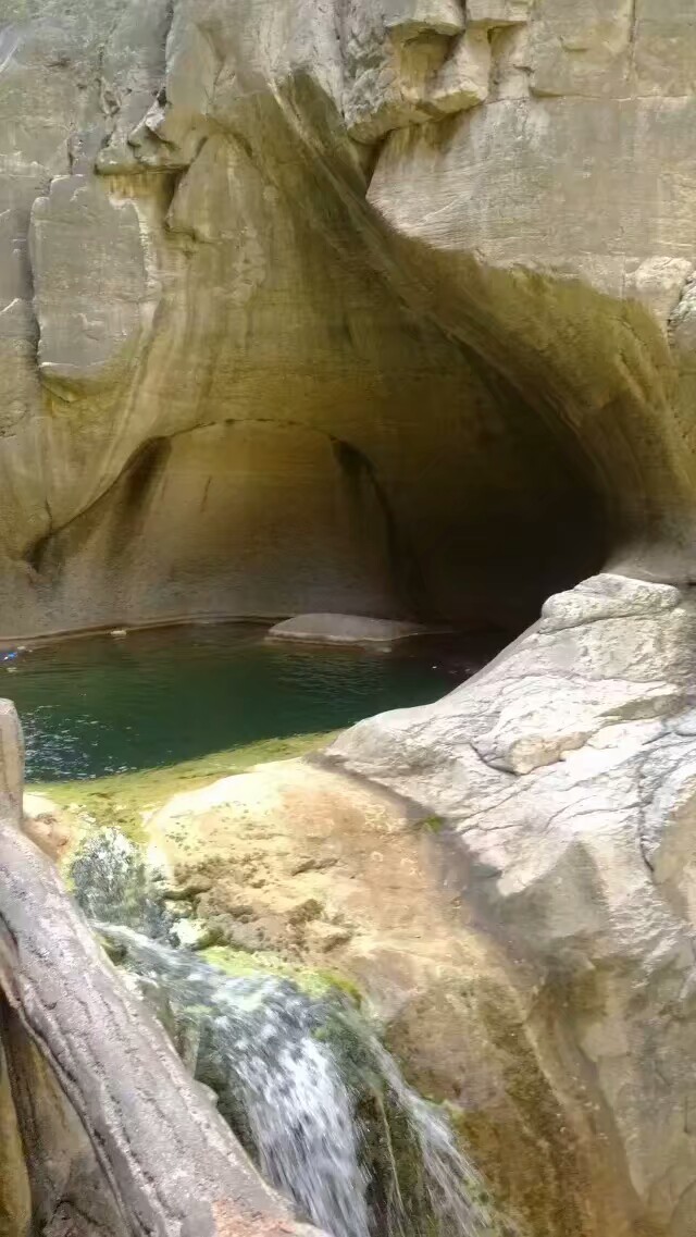Spiritual in the water, beautiful in the forest, strong in the ...
