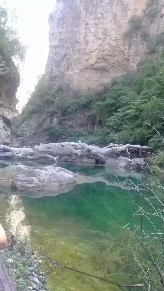 Spiritual in the water, beautiful in the forest, strong in the ...