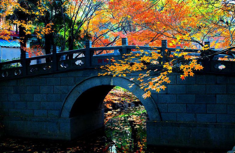 20 autumn poems written by Song Dynasty poet Zhu Shuzhen, poetic and ...